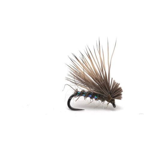 CDC Elk Hair Caddis – Redd's Flies